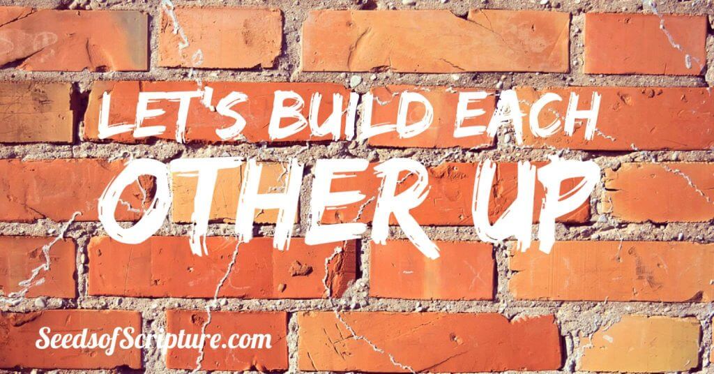 A Building-Up Community - Seeds of Scripture