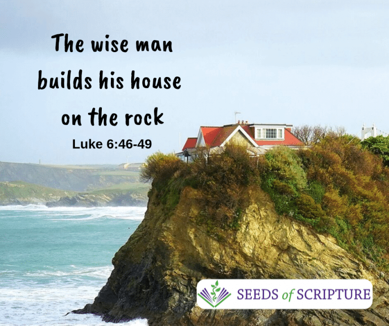 Jesus Is Our Firm Foundation - Seeds of Scripture