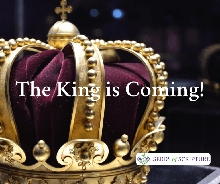 Prepare the Way! The King is Coming! - Seeds of Scripture
