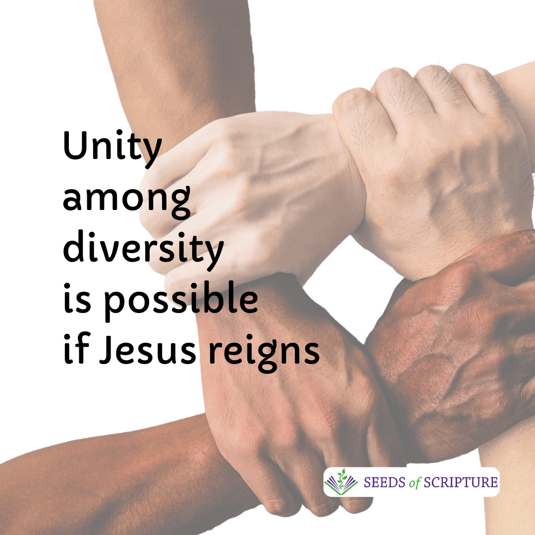 You Are God’s Masterpiece - Seeds of Scripture