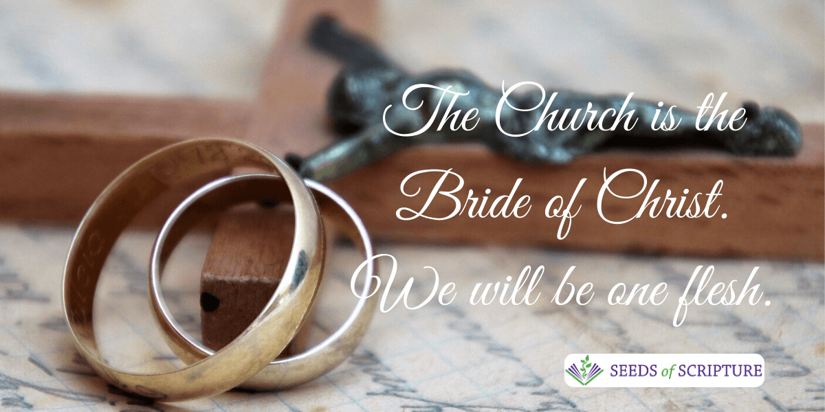 Marriage Prepares Us for God’s Love - Seeds of Scripture
