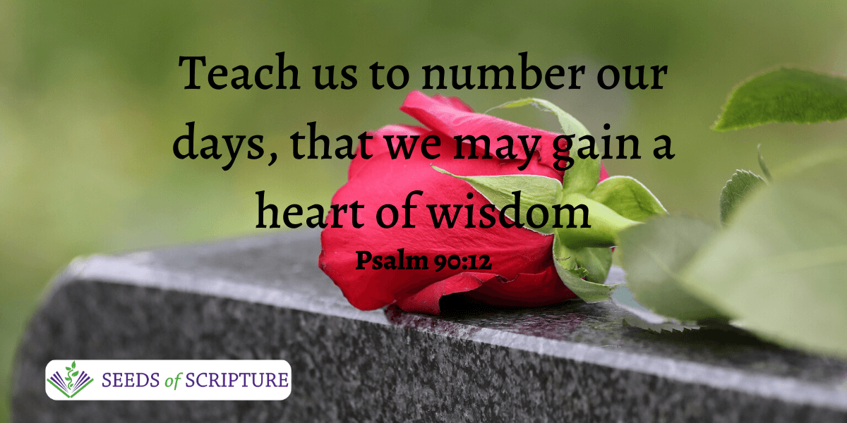 Life is Fragile - Seeds of Scripture