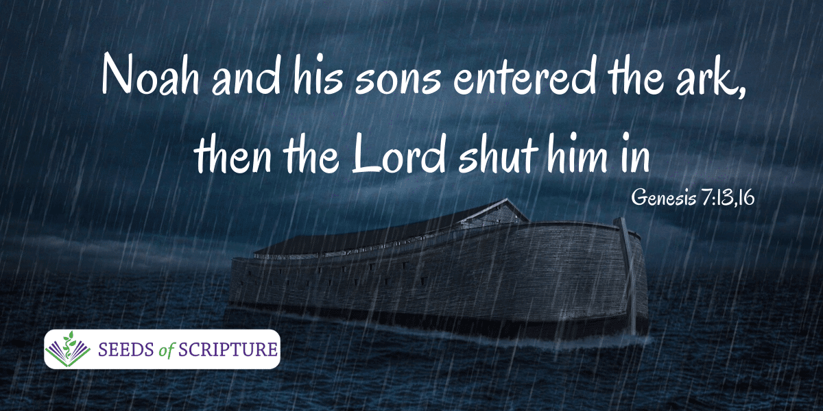 Are You Feeling Stuck Inside? - Seeds of Scripture