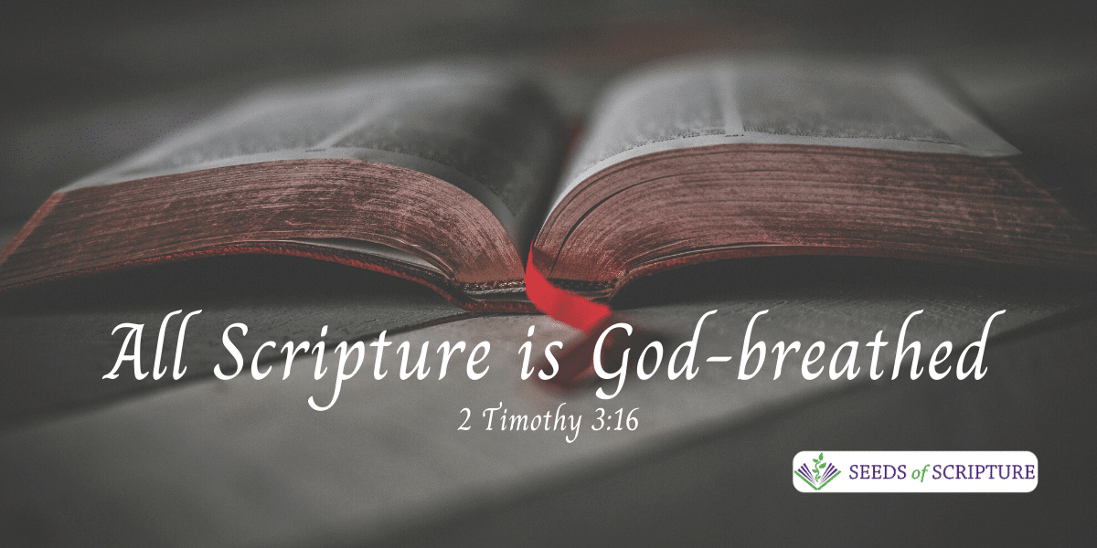 Is Scripture Inspired or Inspiring? - Seeds of Scripture