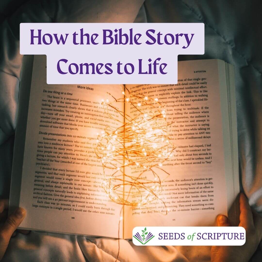 When the Sunday School Story Comes Alive - Seeds of Scripture