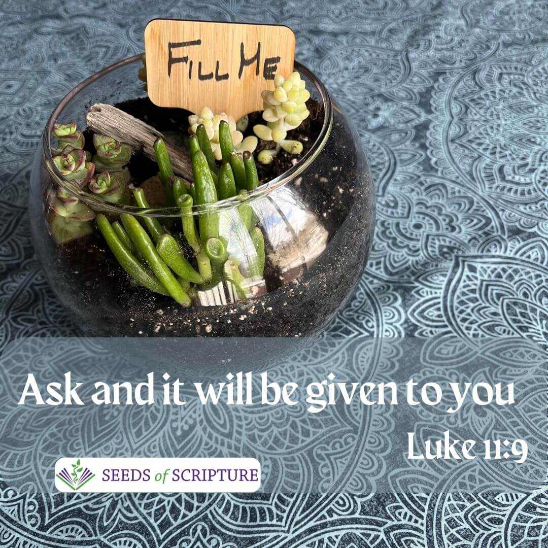 3 Prayers to ‘Fill Me’ and an Answer - Seeds of Scripture