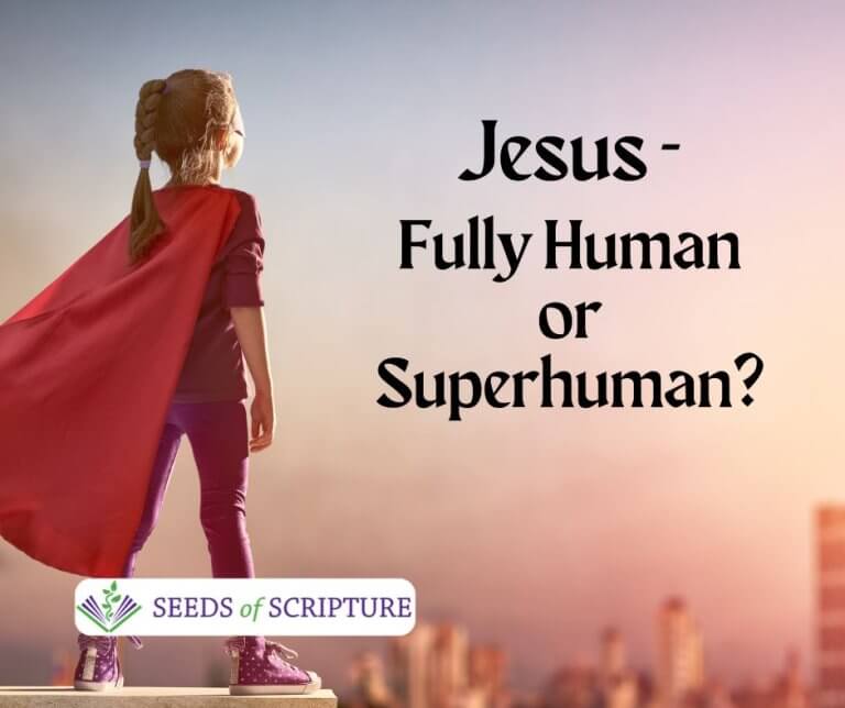A Fully Human Jesus: Why is it Important? - Seeds of Scripture