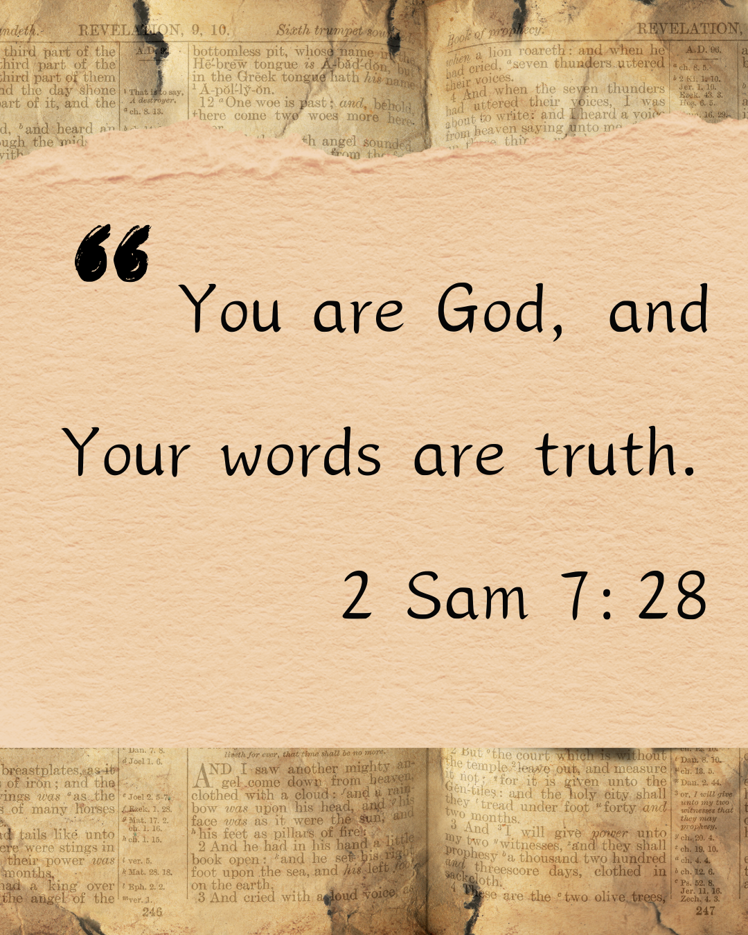66 Hyperlinked Books: One Story that Leads to Jesus - Seeds of Scripture