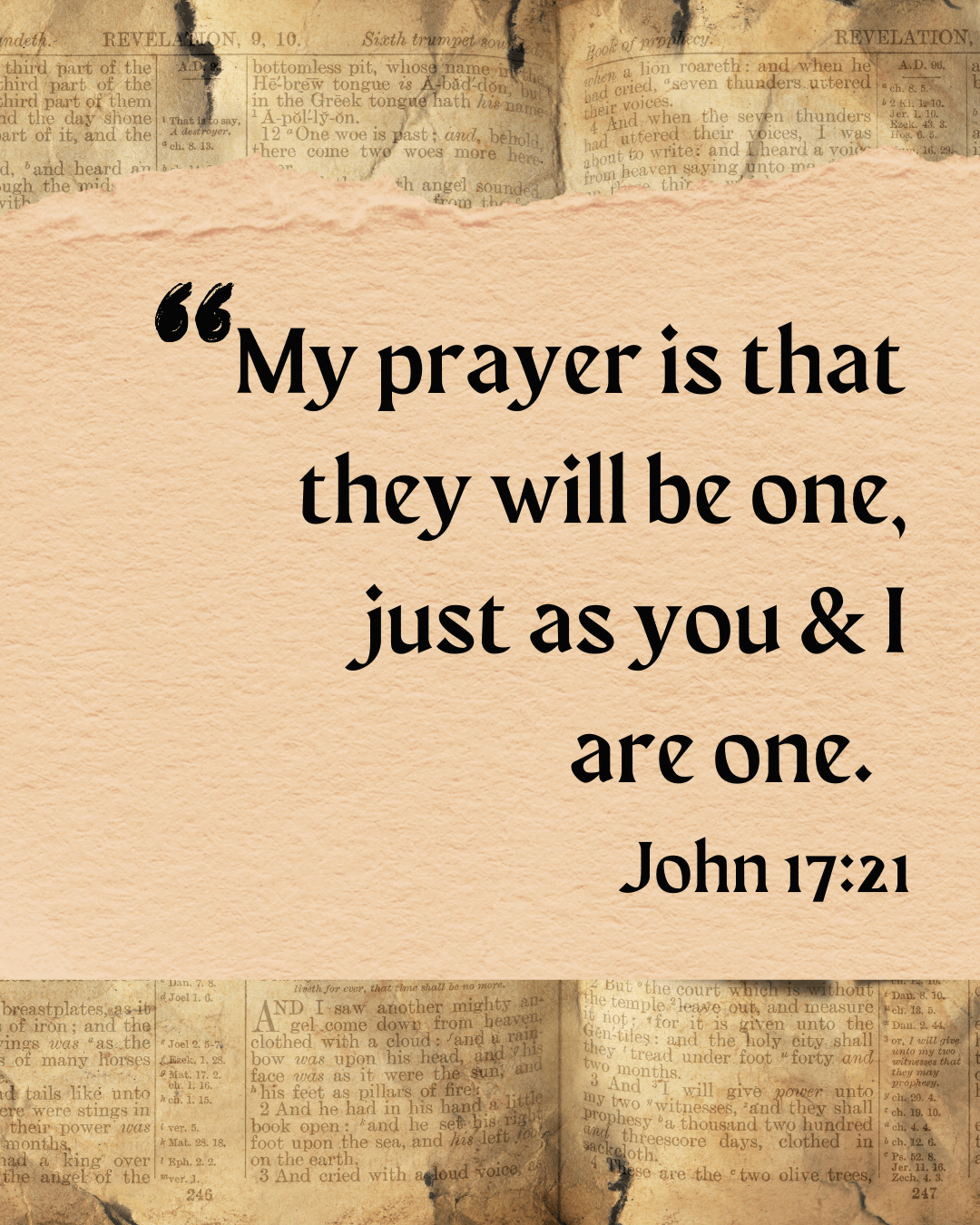 Be Transformed: Embrace Jesus’ Radical Love - Seeds of Scripture