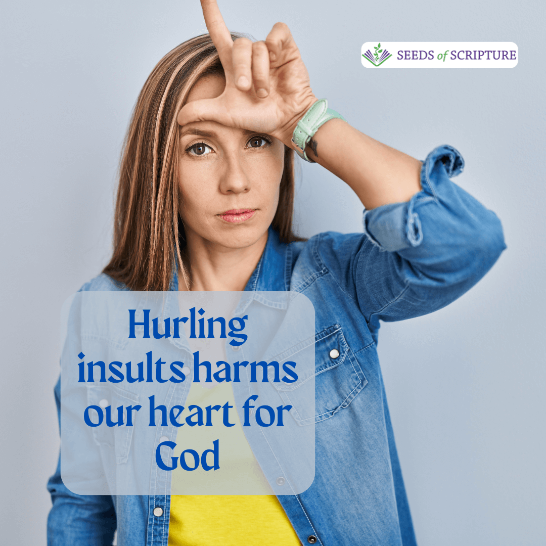 Words Hurt: How Insults Conflict with a Heart for God - Seeds of Scripture