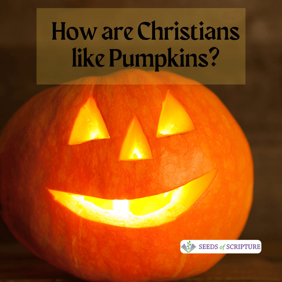 Transformed by God: Like Carving a Pumpkin - Seeds of Scripture