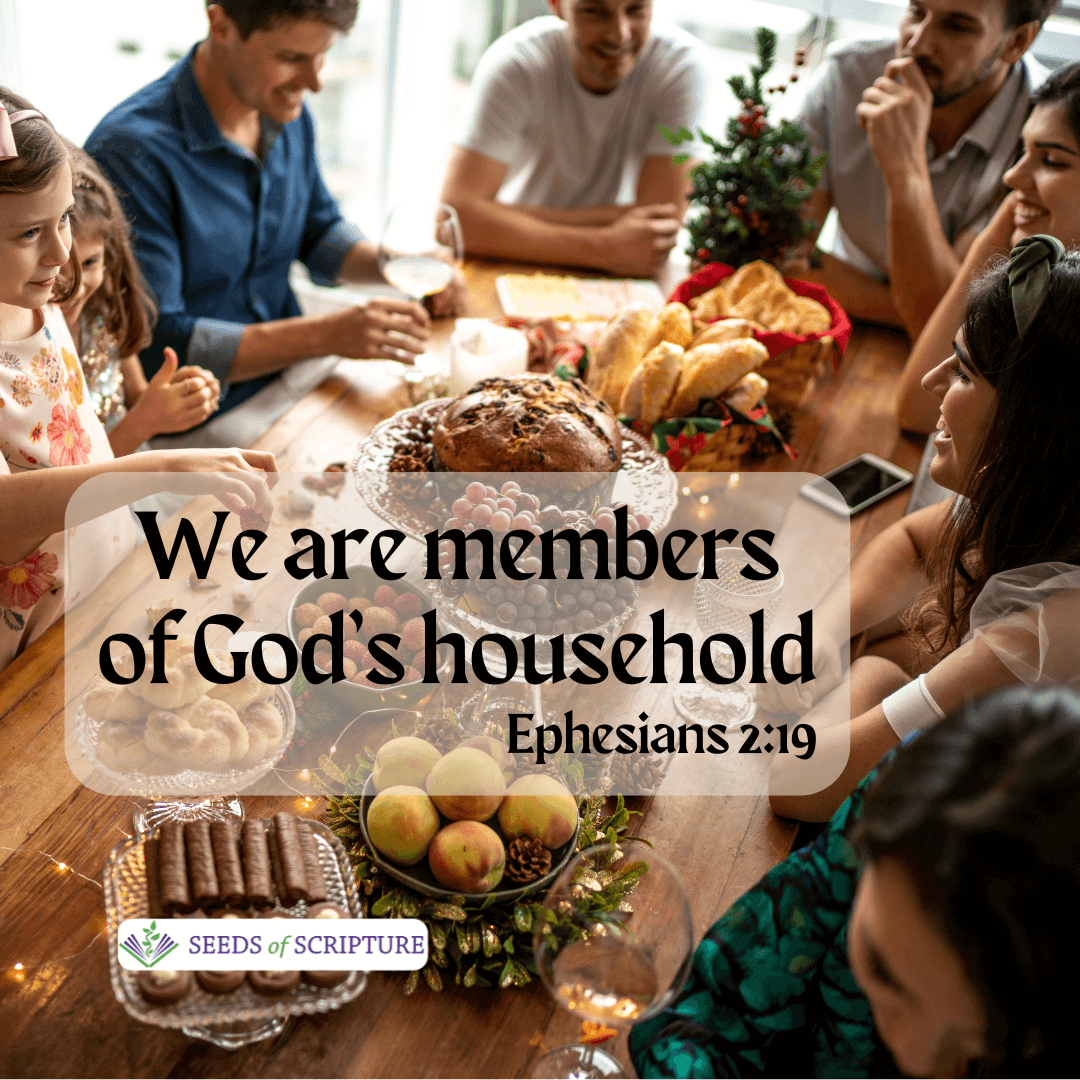 Do you belong? Find Identity in God’s Family - Seeds of Scripture