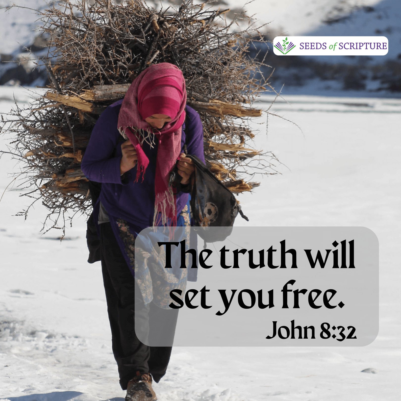Epiphany: Freedom in the Truth - Seeds of Scripture
